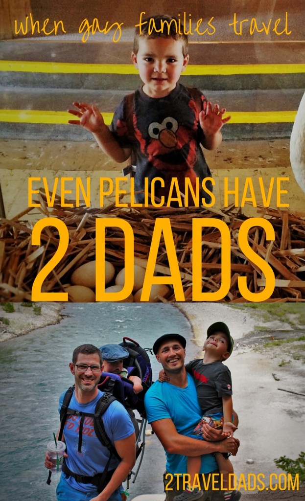 Families Like Ours: even pelicans have two dads - 2TravelDads