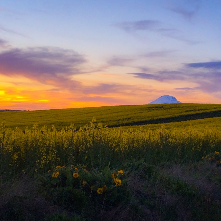 The prettiest spots in Washington State - 2TravelDads