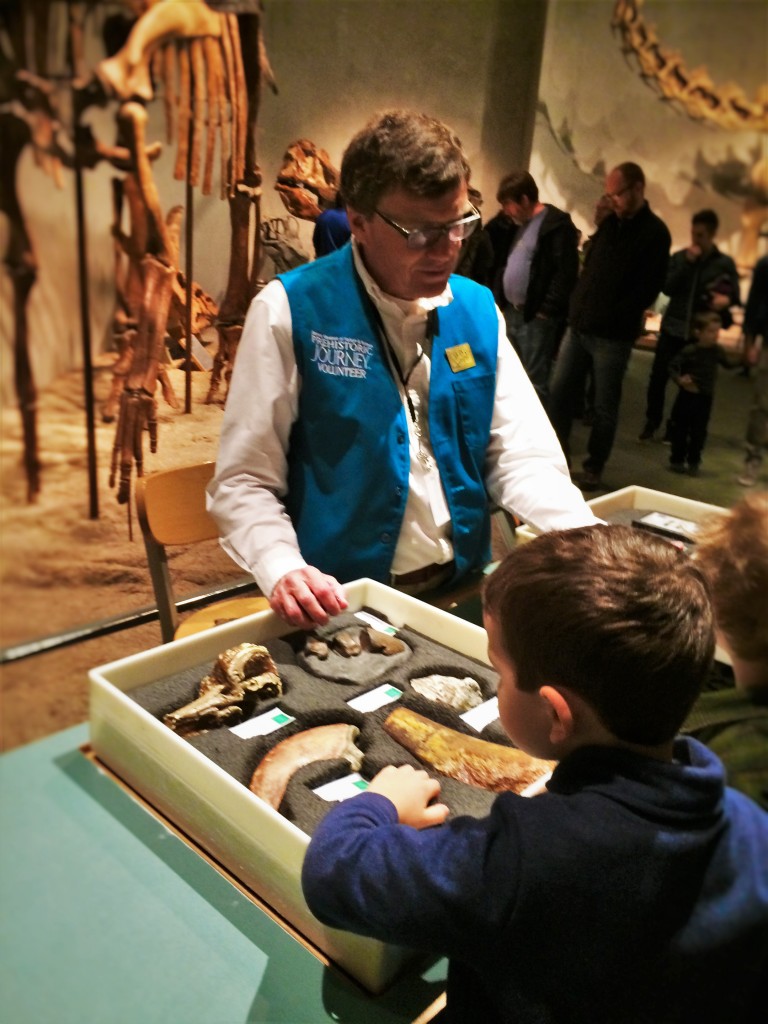 Docent and Fossils at Prehistoric Journey in Denver Museum of Science ...
