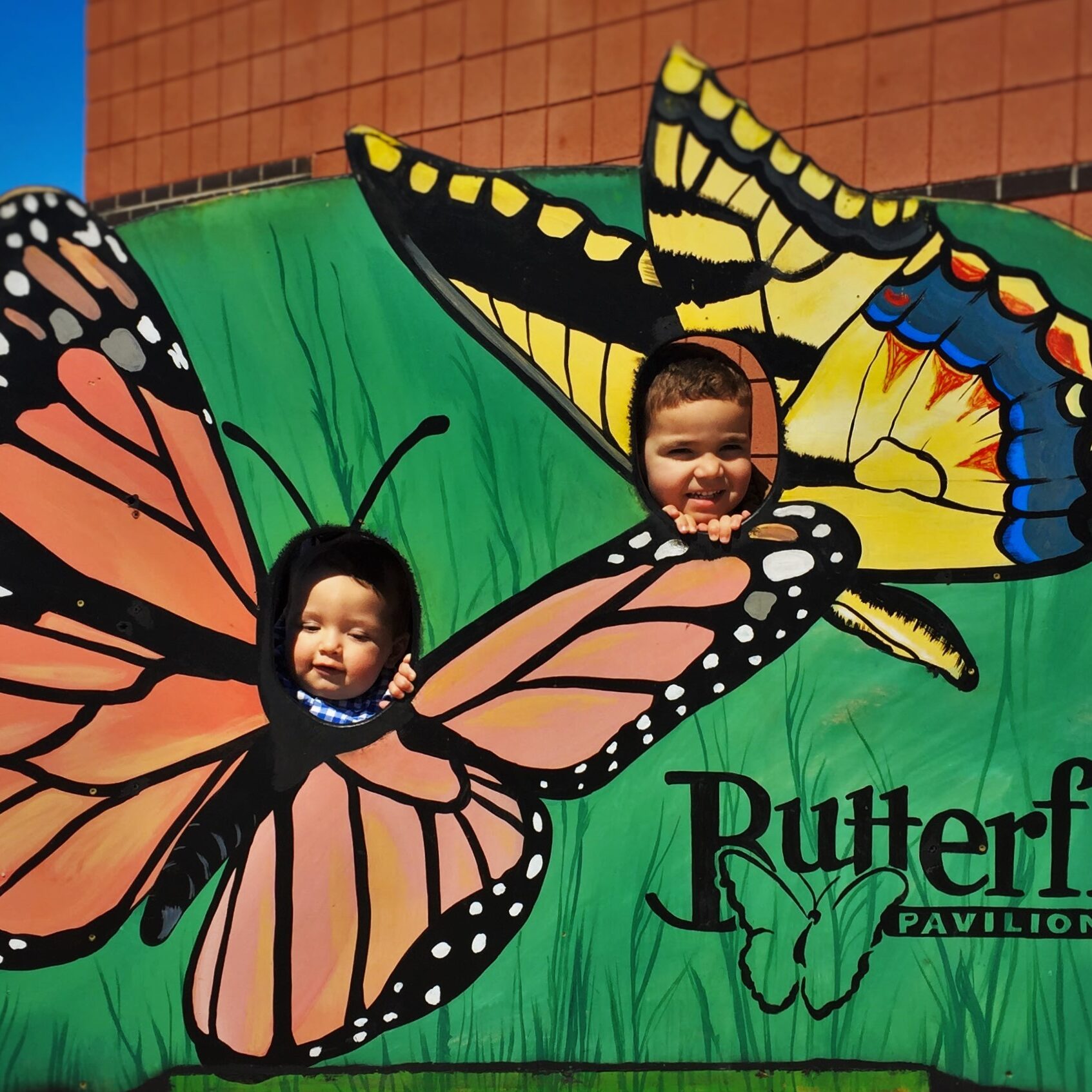 Butterfly Pavilion In Pictures Of Butterflies