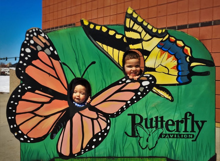 So much happenin' at the Butterfly Pavillion