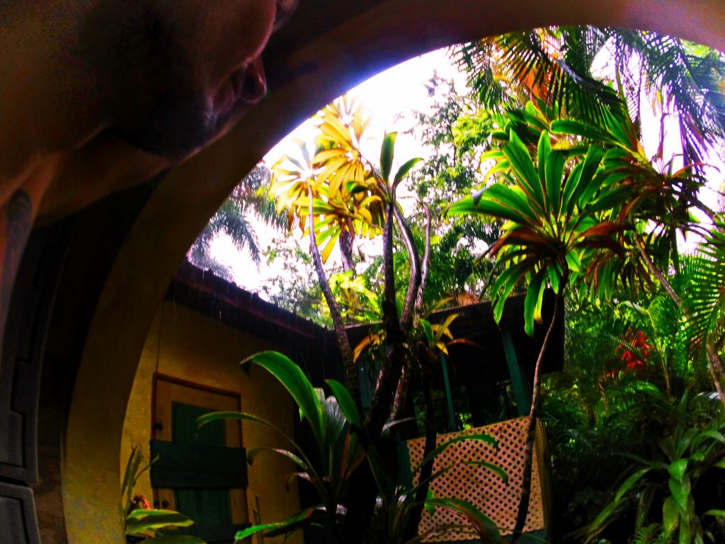 Tropical Plants and Monsoon rain at Chukka Tour House Ocho Rios Jamaica ...