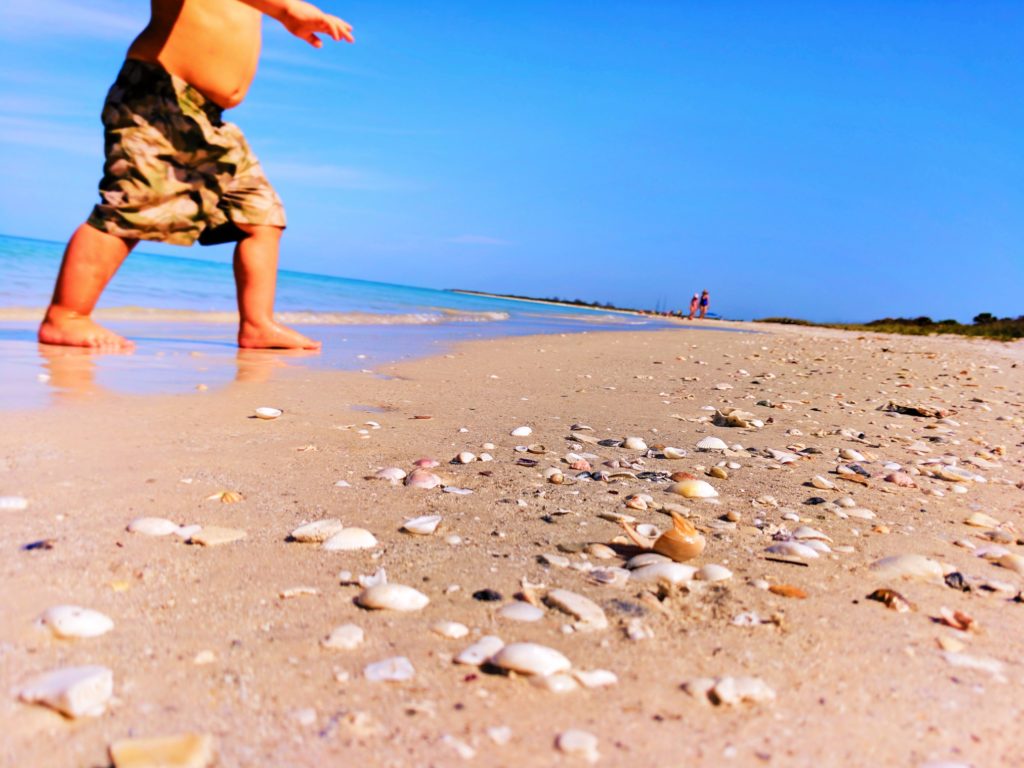 Florida Gulf Coast Beaches: how to rock the sandy shores of the ...