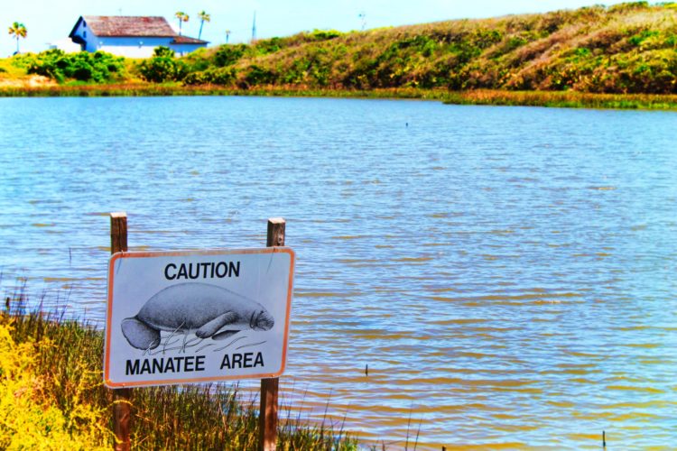 Outdoor activities around St Augustine: nature on Florida's historic coast