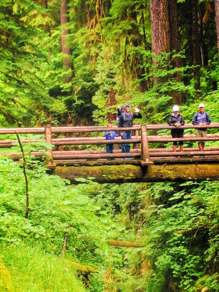 Hiking Sol Duc Falls and the northern rainforest of Olympic National Park