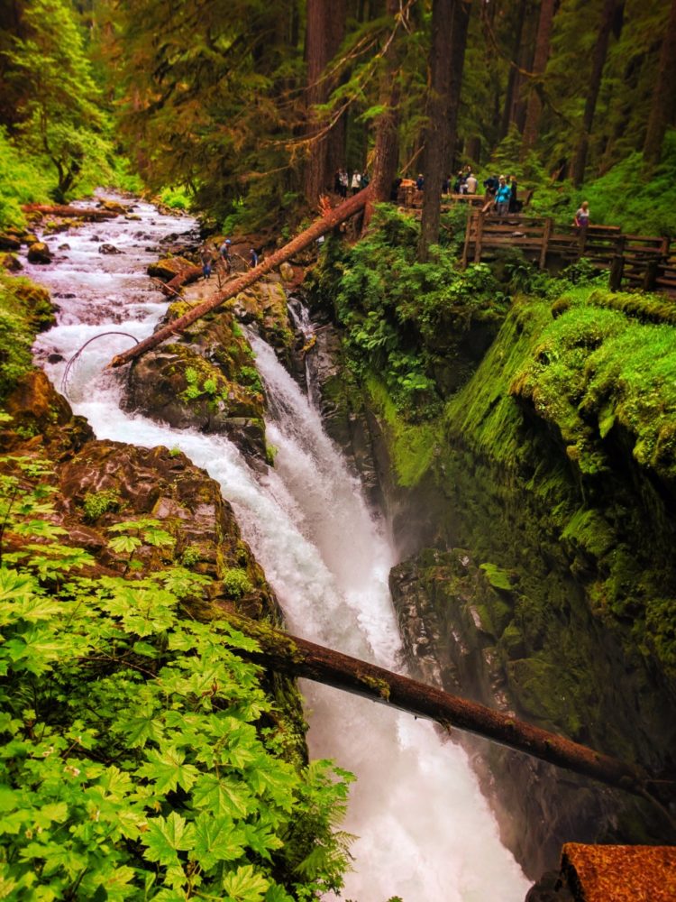 Hiking Sol Duc Falls and the northern rainforest of Olympic National Park