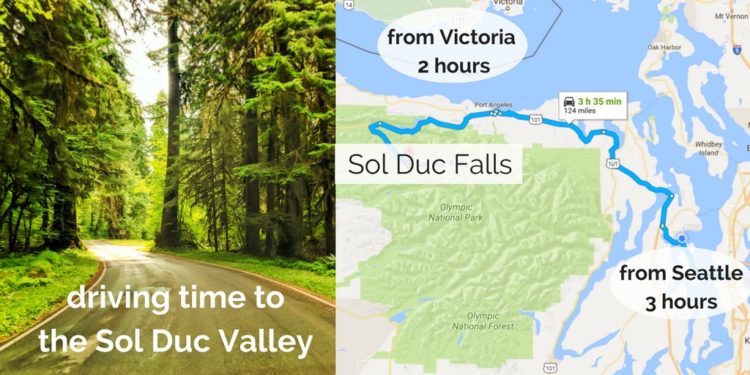 Hiking Sol Duc Falls and the northern rainforest of Olympic National Park