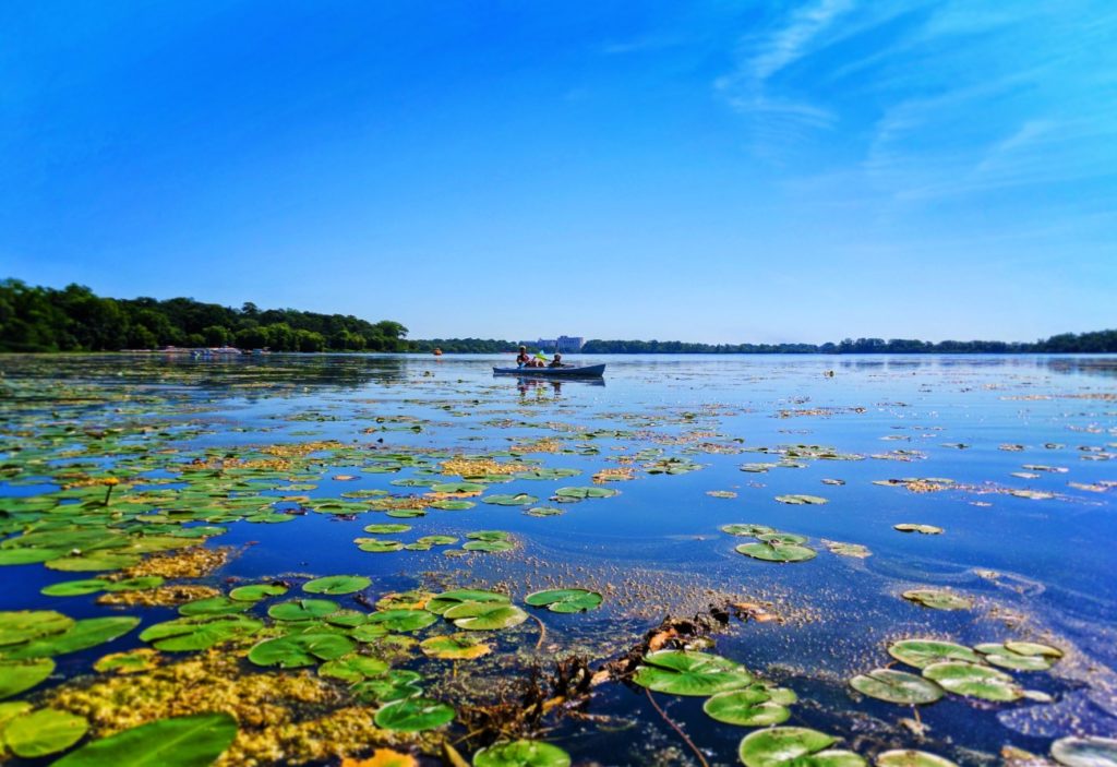 Madison, Wisconsin in Summer: Unique Eats, Best Things To Do