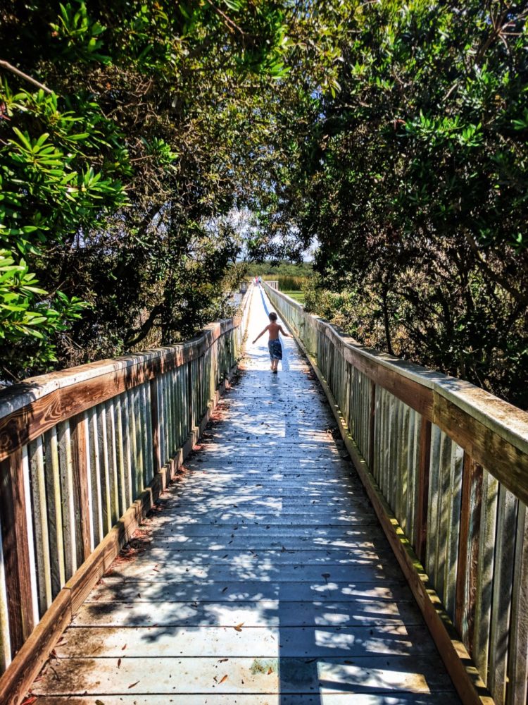 Santa Maria Valley: a new California getaway for wine country and nature