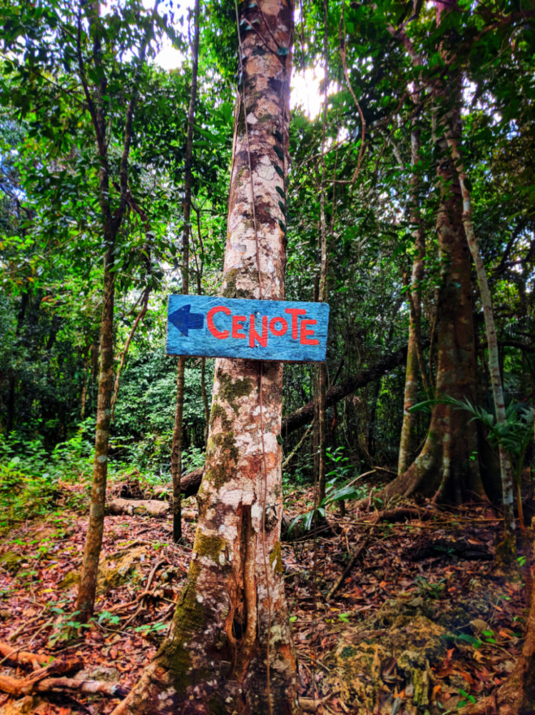 Cenote sign at Cenotes Sieta Bocas Yucatan Road Trip 2 - 2 Travel Dads