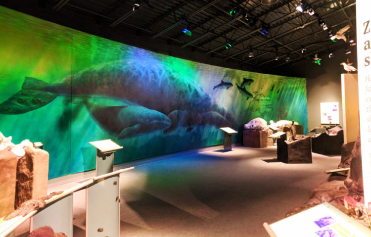Whale mural at Yaquina Head Lighthouse Visitors Center Oregon Coast 4 ...