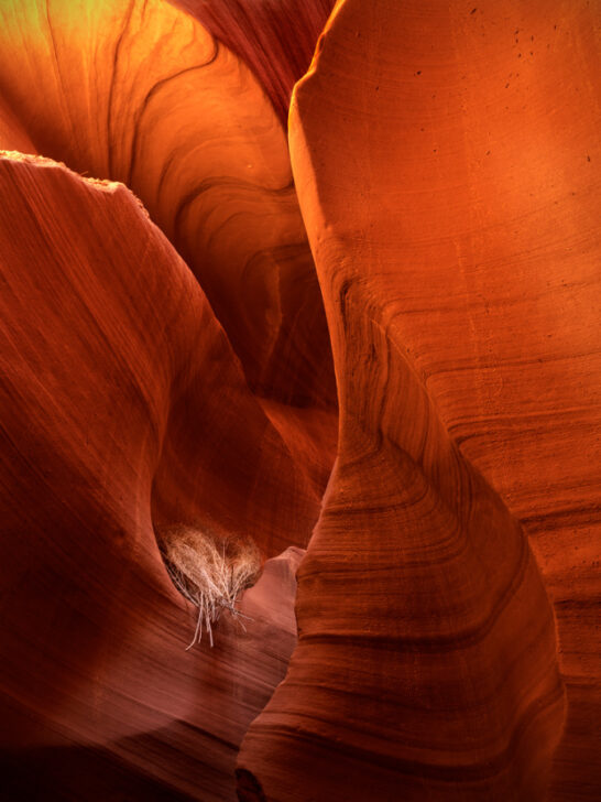 Best Sights in the Southwest - Beautiful Desert Icons Not to Miss ...