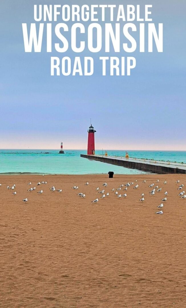 Beautiful Wisconsin Road Trip with Sunflowers and Cheese Curds