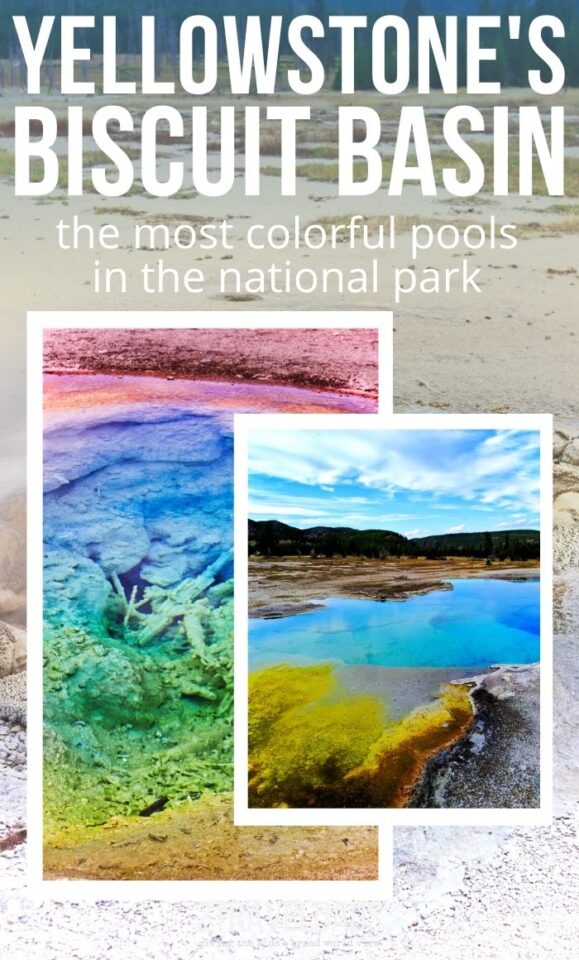 Biscuit Basin, Yellowstone: The Most Colorful Springs (and A Great Hike!)