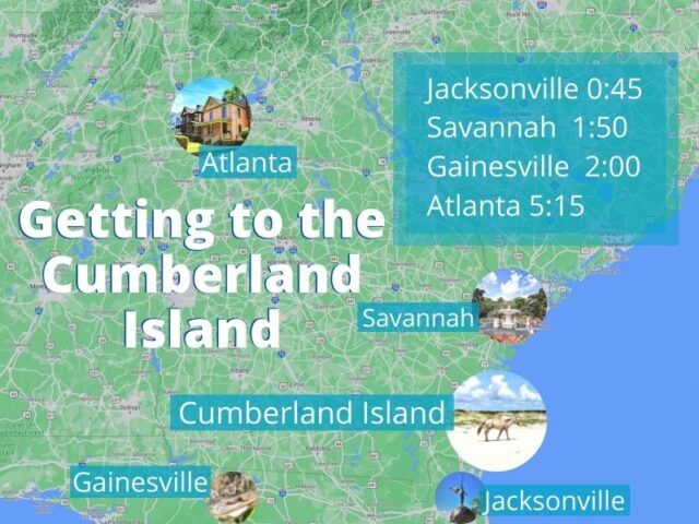 Cumberland Island Nat'l Seashore: Wild Horses and Beautiful Beaches