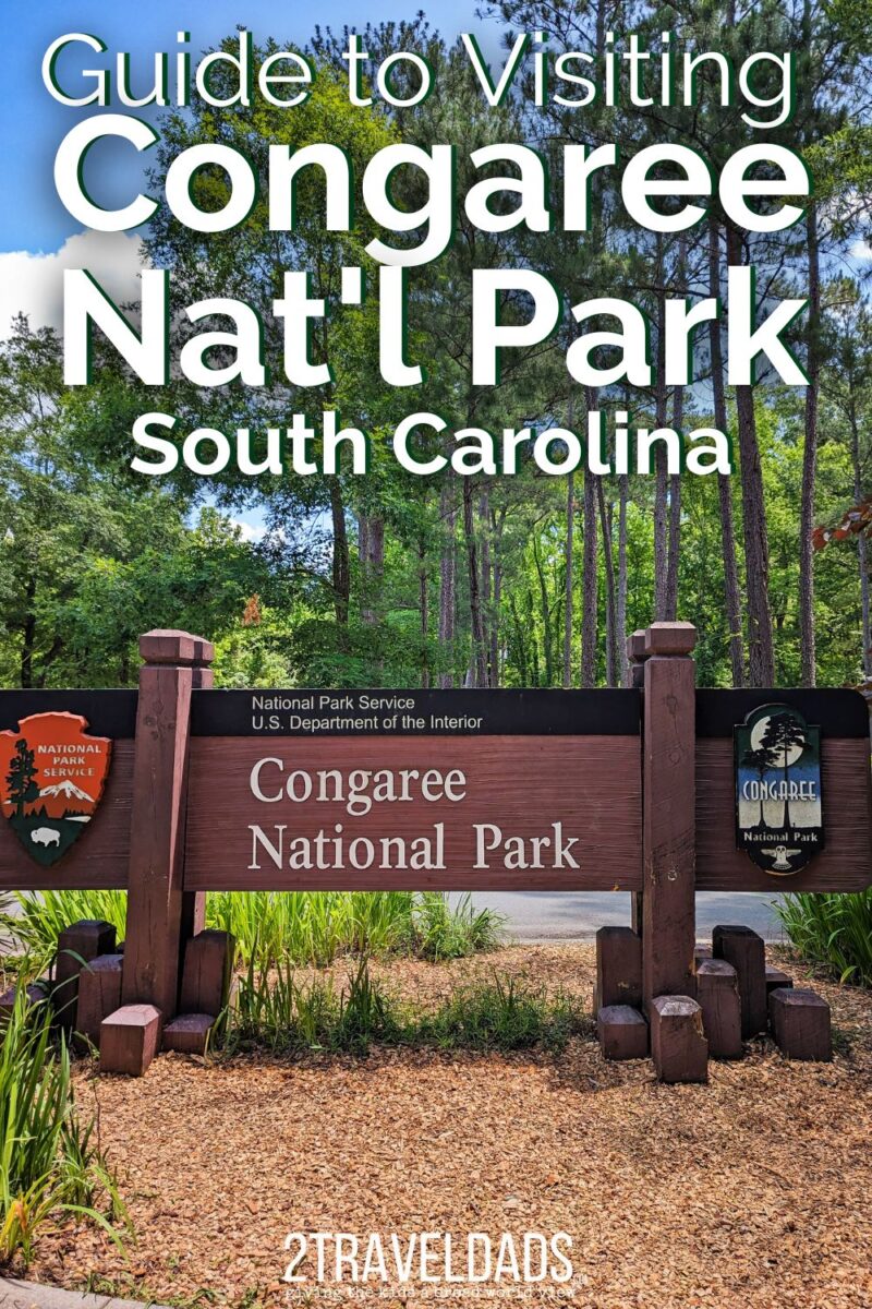 Visiting Congaree National Park: South Carolina Swamp Magic!