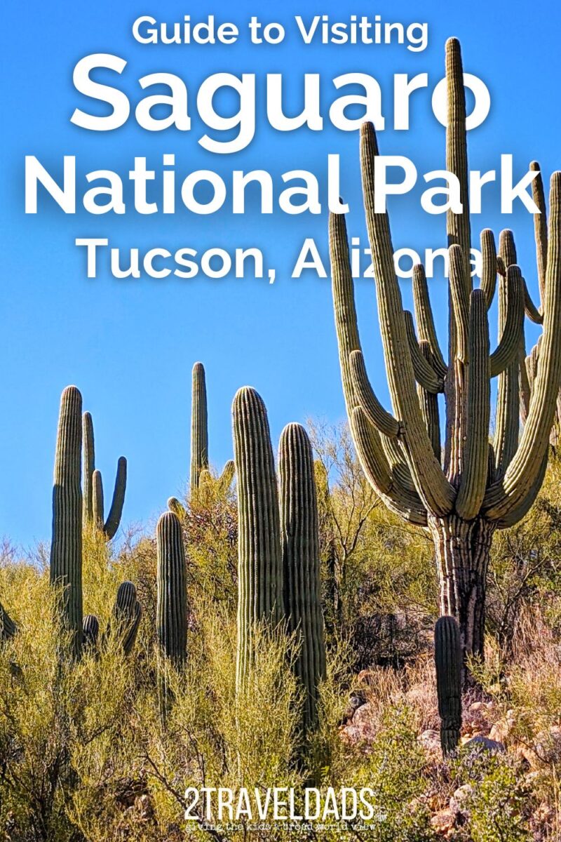 Guide to Visiting Beautiful Saguaro National Park - 2TravelDads