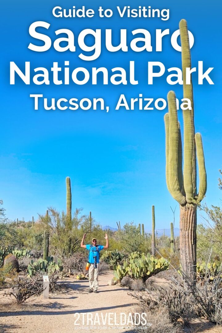 Guide to Visiting Beautiful Saguaro National Park - 2TravelDads
