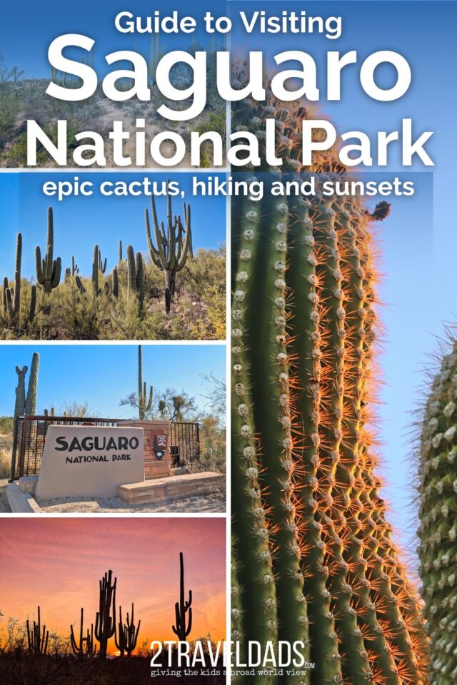Guide to Visiting Beautiful Saguaro National Park - 2TravelDads