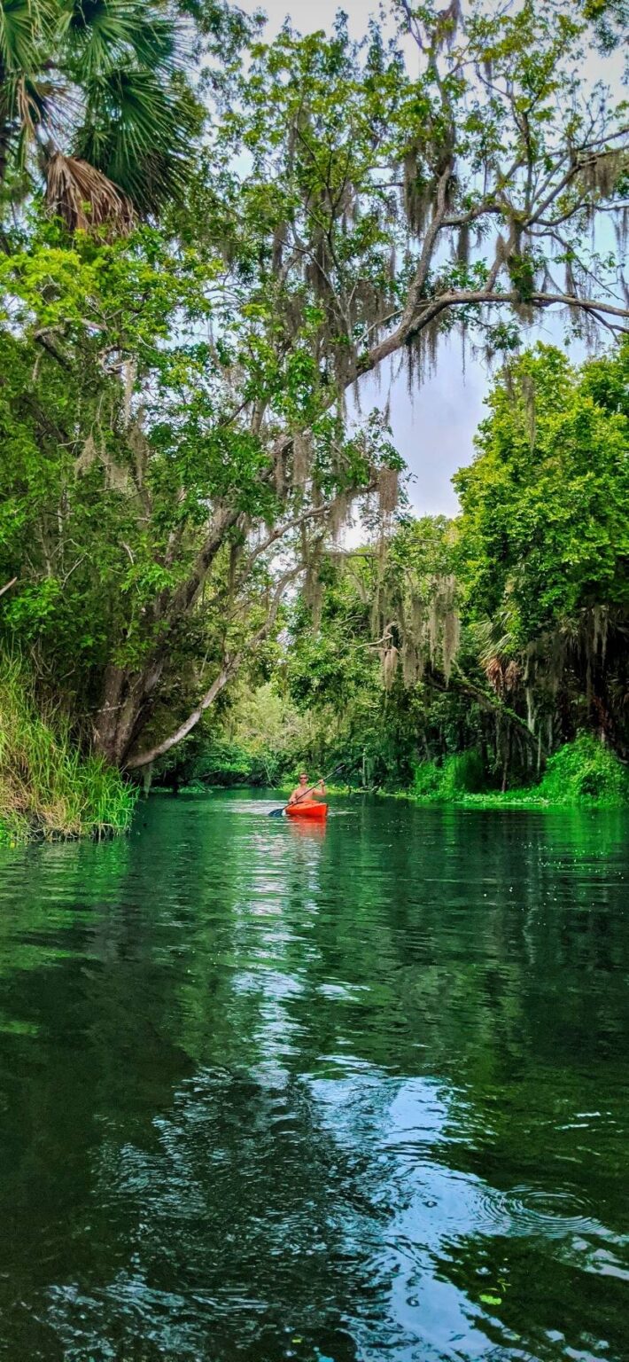 Kayaking at Blue Spring State Park Florida Web Story - 2TravelDads