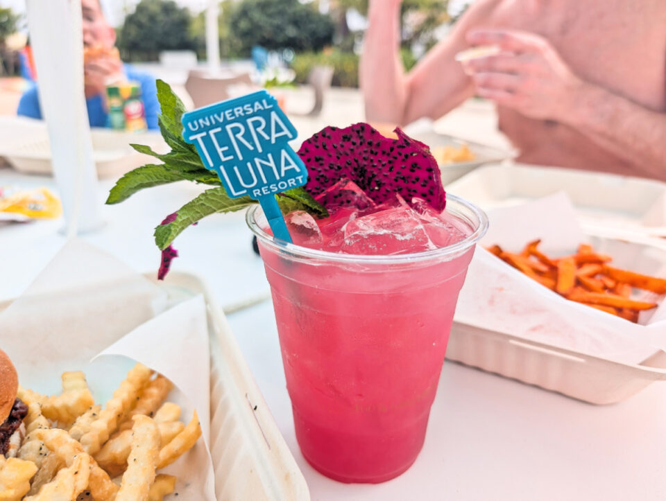 Terra Luna Resort: New Budget-friendly Hotel at Universal Orlando
