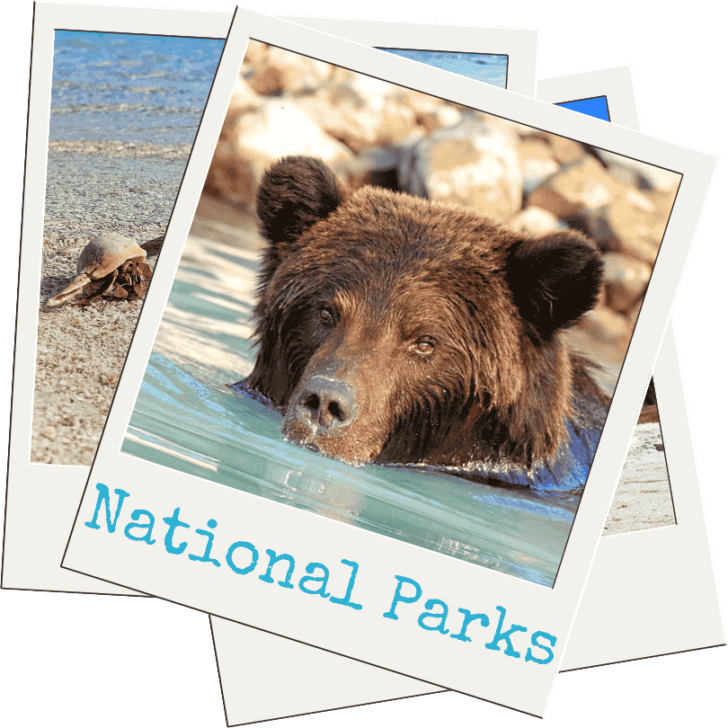 Complete Guide to the East Side of Glacier National Park - 2TravelDads Complete Guide to the East Side of Glacier National Park - 2TravelDads
