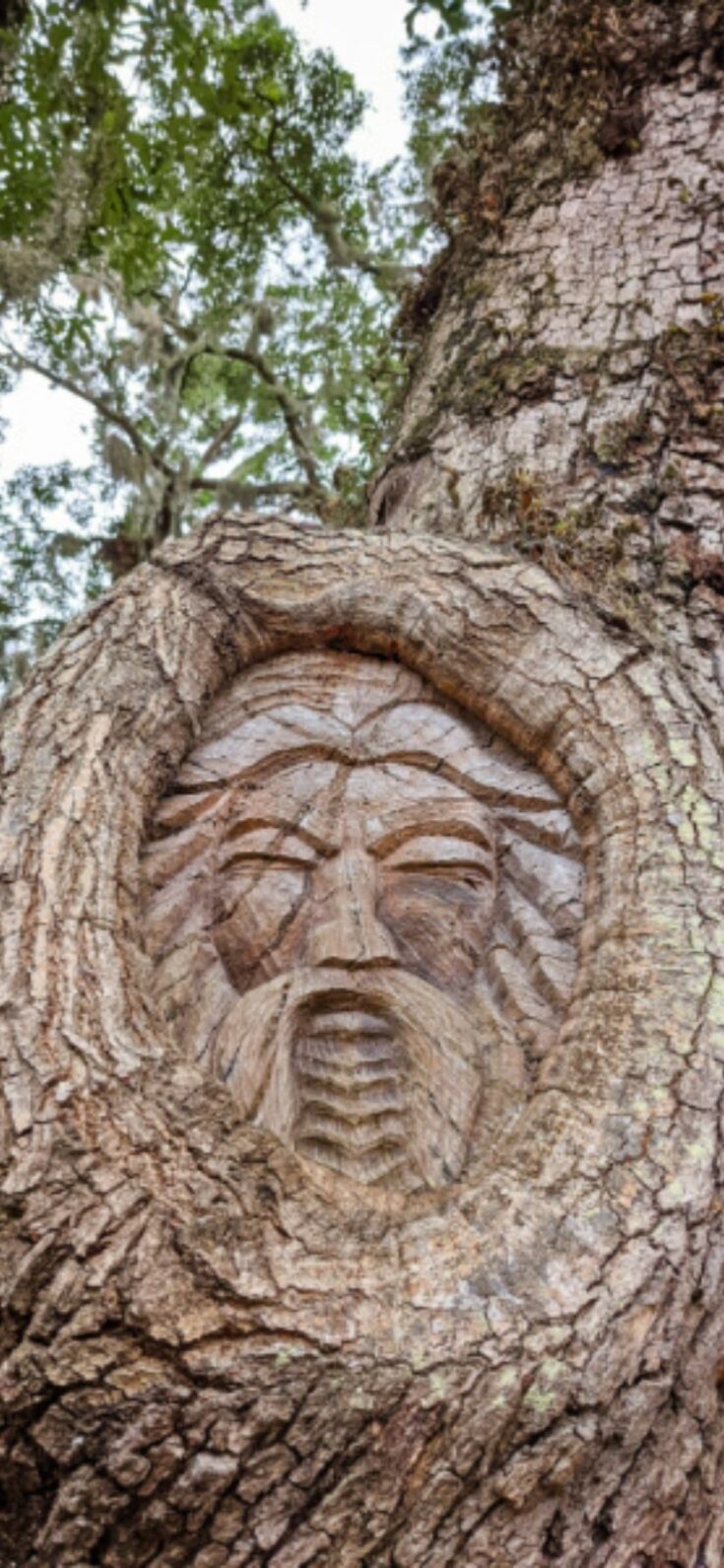 Old Man Carved Spirit Tree St Simons Island - 2TravelDads