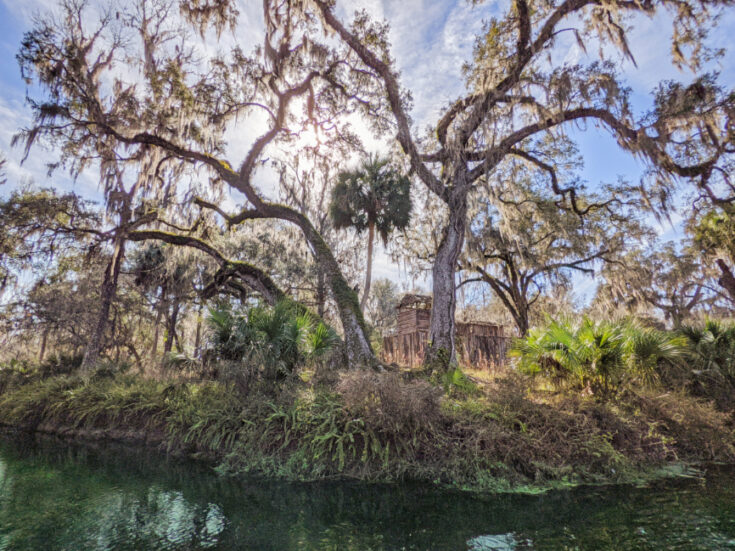 Silver Springs State Park: From Kayaking with Monkeys to Glass Bottom Boats