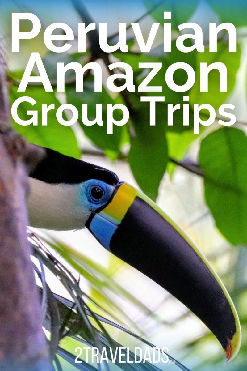 Peruvian Amazon Group Trips: Amazing Treehouses and Wildlife ...