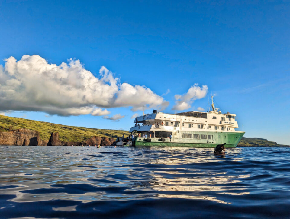 UnCruise Adventures: What to Expect and Why It's Unique - 2TravelDads