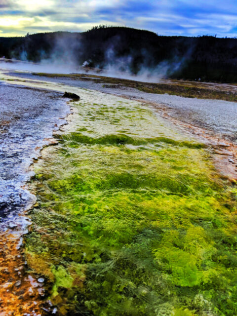 Biscuit Basin, Yellowstone: The Most Colorful Springs (and A Great Hike!)